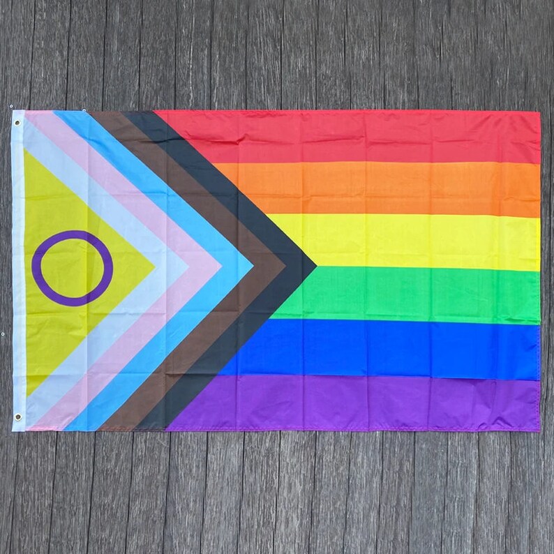 Retro Pride 3'x5' 90x150cm Intersex Inclusive Progress Pride Flag ...