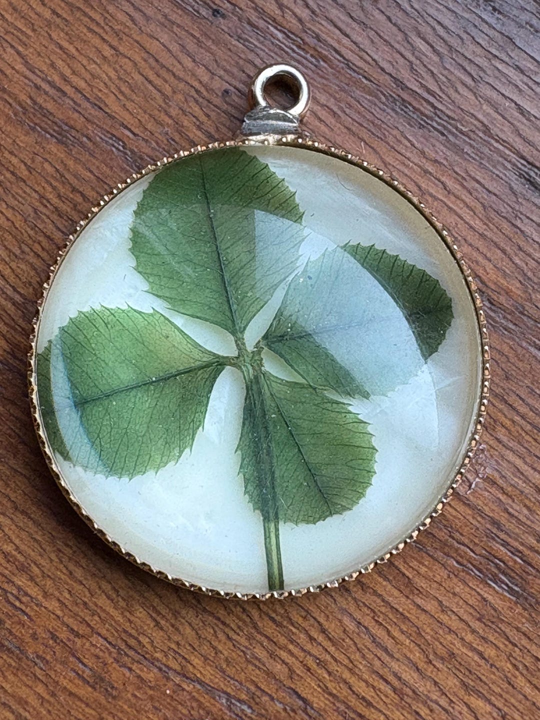 4-leaf Clover Preserved Shamrock Under Glass Vintage Pendant - Etsy