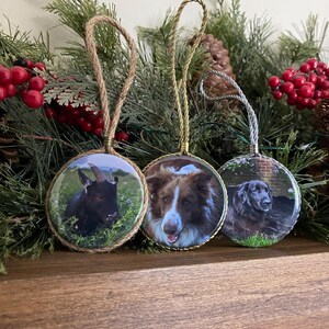 Custom Pet Ornament - Double Sided Photo Custom Ornament - Etsy