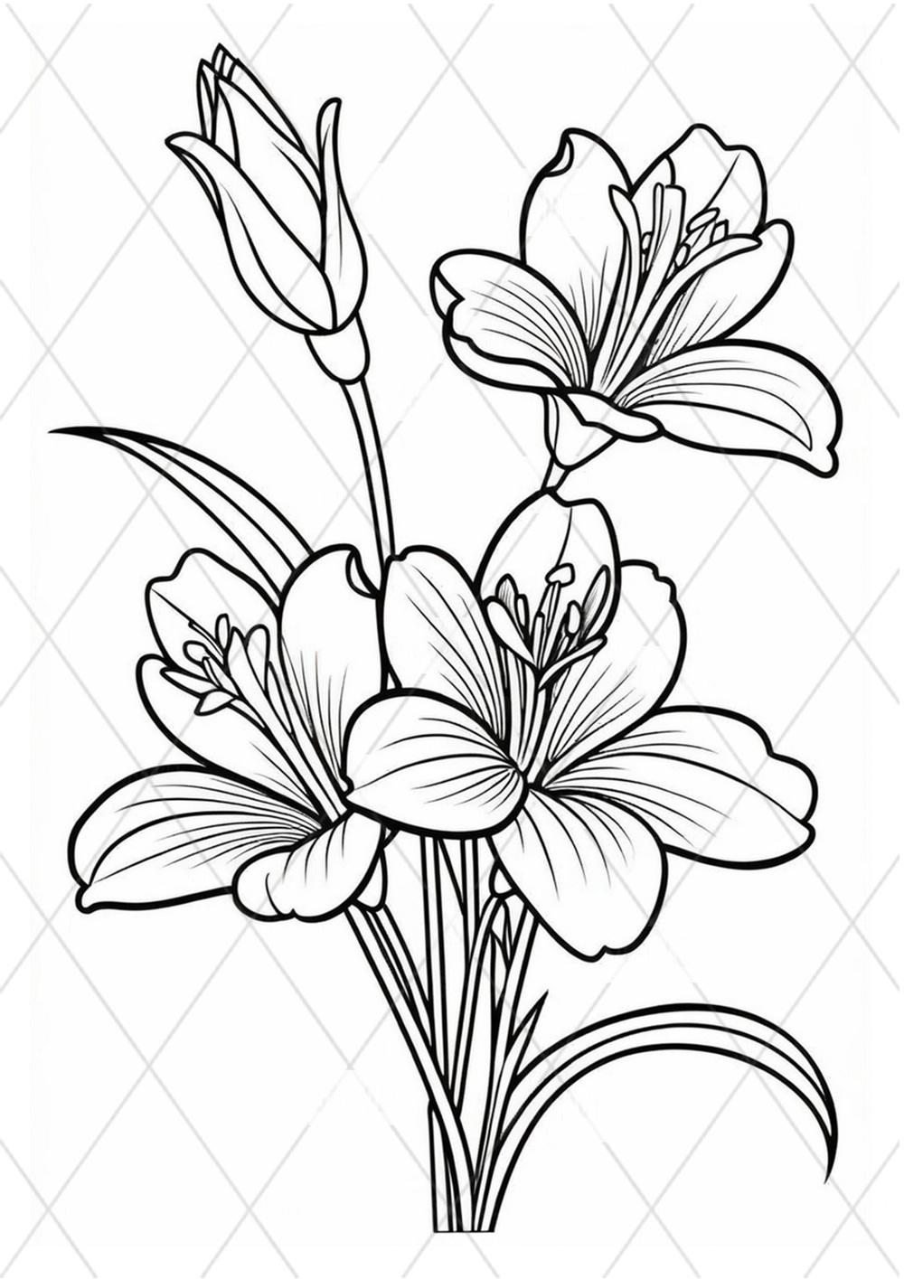 Freesia Flower 20 Printable Coloring Page for Adults & Kids, Coloring ...