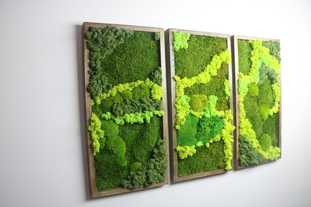 Premium Handmade Preserved Moss Wall Art – Zero Maintenance, Long ...