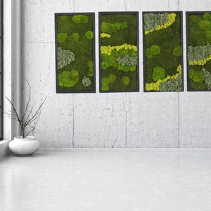 Premium Handmade Preserved Moss Wall Art – Zero Maintenance, Long ...