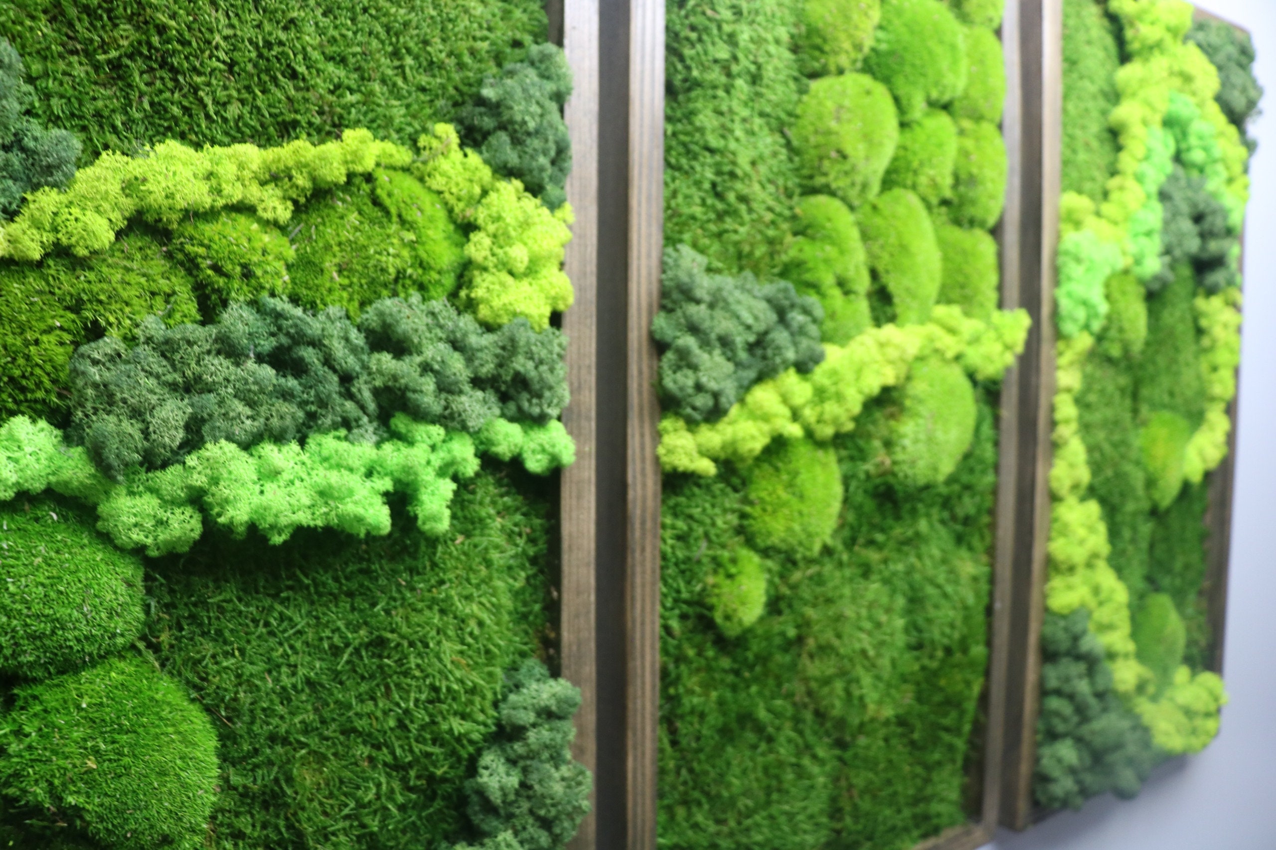 Premium Handmade Preserved Moss Wall Art Zero Maintenance, Long-lasting ...