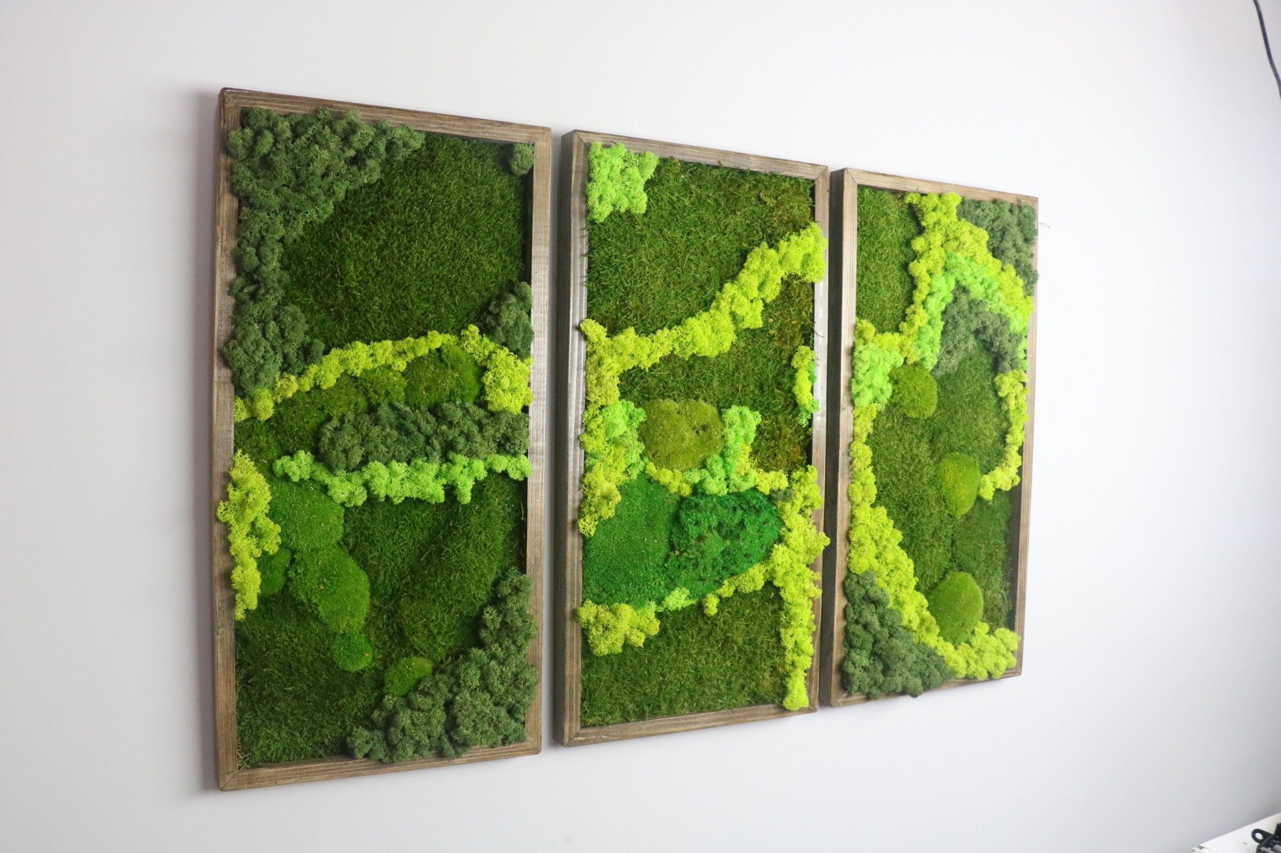 Premium Handmade Preserved Moss Wall Art Zero Maintenance, Long-lasting ...