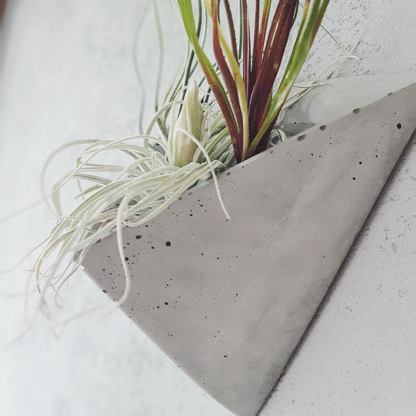 Triplant | Concrete Wall Flowerpot | Triangular Pot for Indoor Plants ...