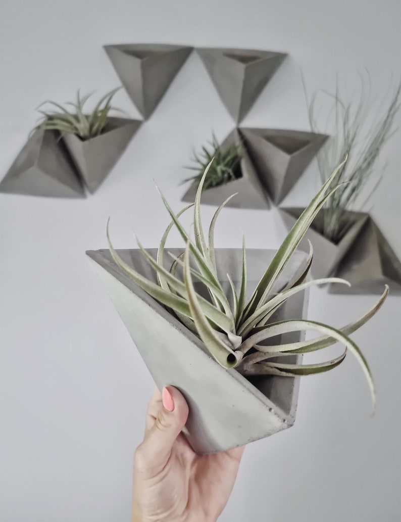 Triplant | Concrete Wall Flowerpot | Triangular Pot for Indoor Plants ...