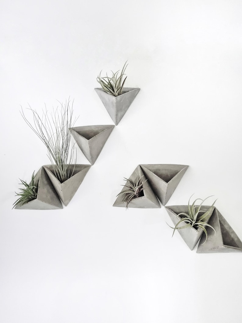 Triplant | Concrete Wall Flowerpot | Triangular Pot for Indoor Plants ...
