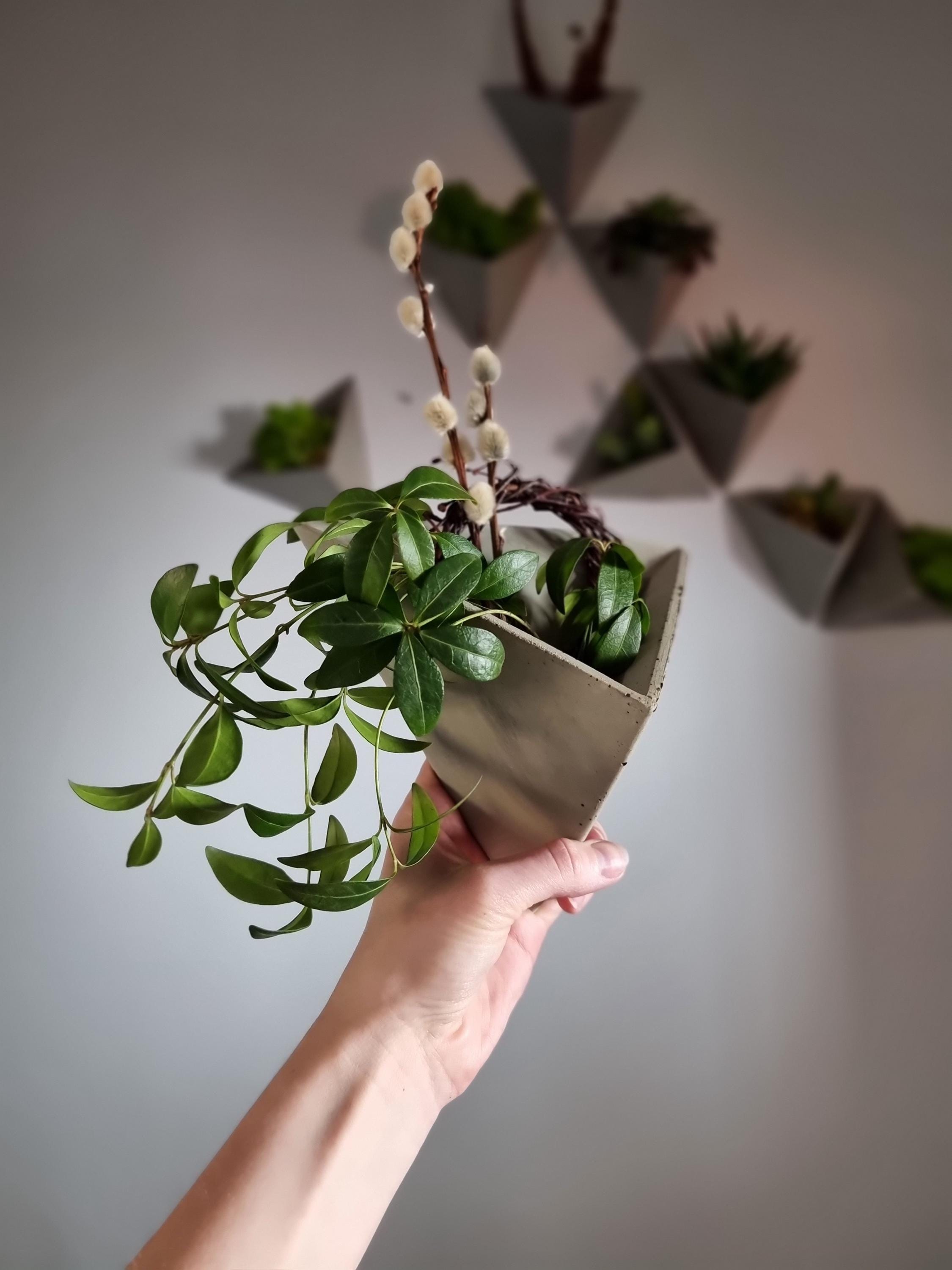 Triplant | Concrete Wall Flowerpot | Triangular Pot for Indoor Plants ...