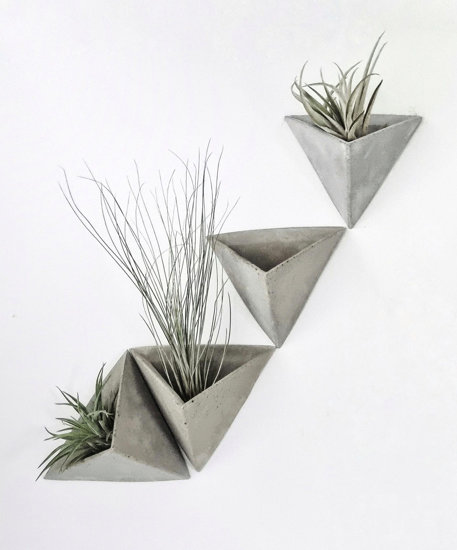Triplant | Concrete Wall Flowerpot | Triangular Pot for Indoor Plants ...