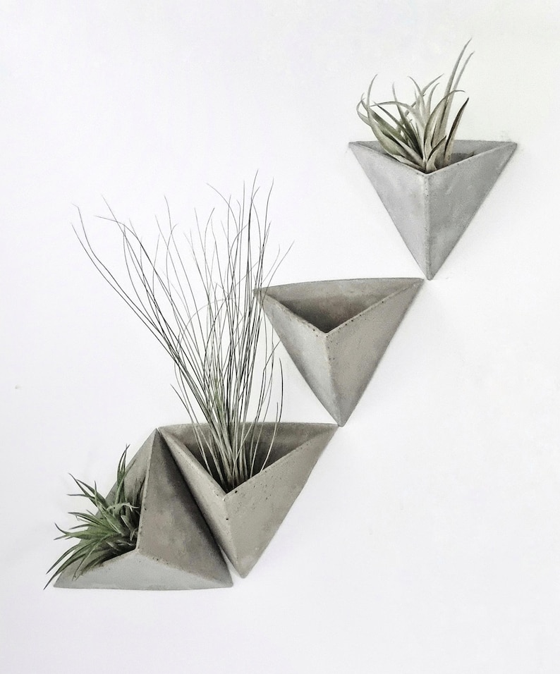 Triplant | Concrete Wall Flowerpot | Triangular Pot for Indoor Plants ...