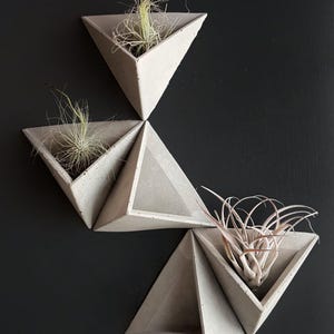 Triplant | Concrete Wall Flowerpot | Triangular Pot for Indoor Plants ...