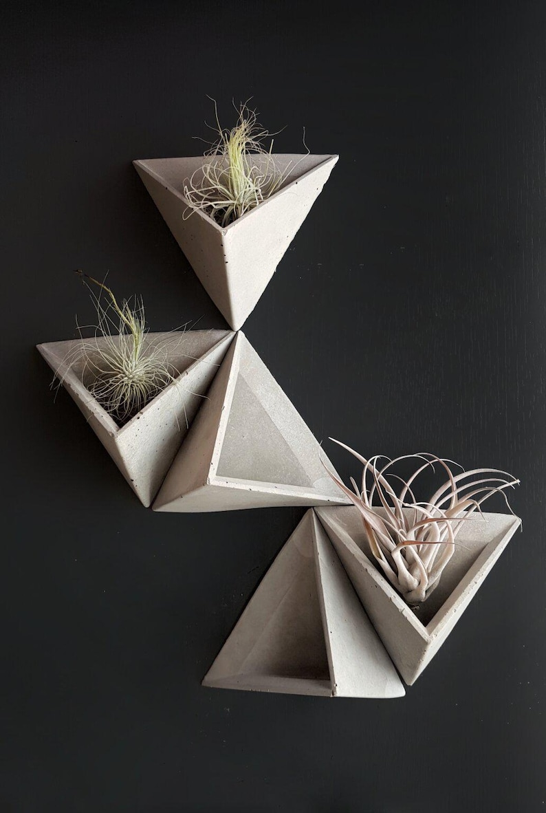 Triplant | Concrete Wall Flowerpot | Triangular Pot for Indoor Plants | Original Wall Decoration ...