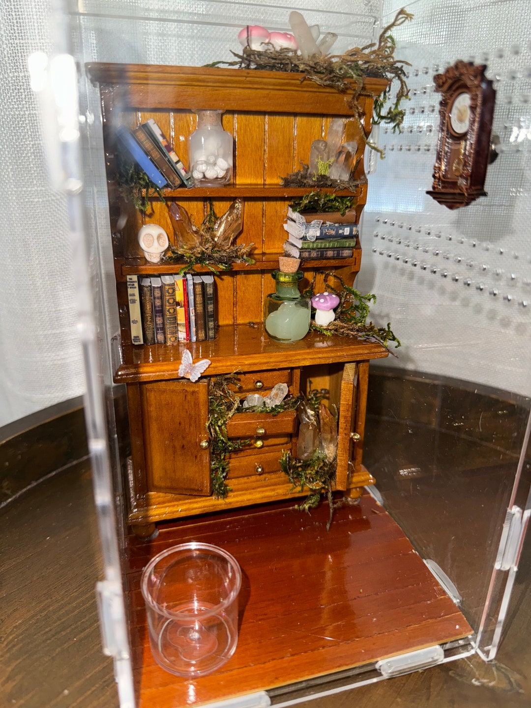 Spider Enclosure Enchanted Library - Etsy