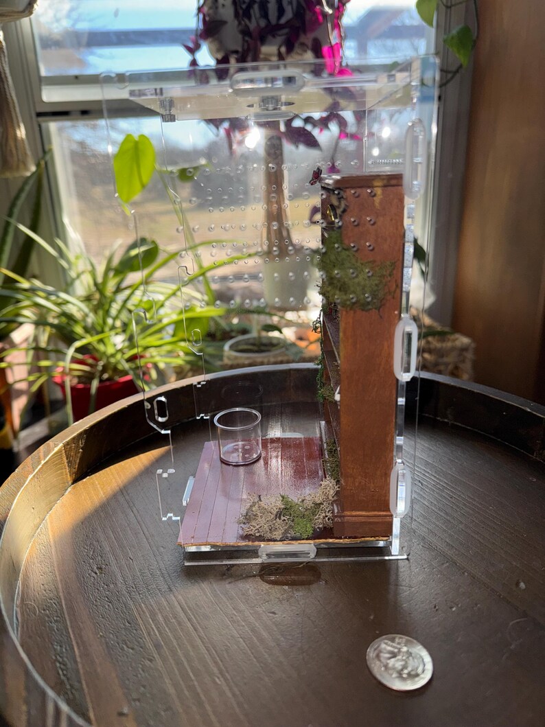 Enchanted Bookshelf Spider Enclosure - Etsy