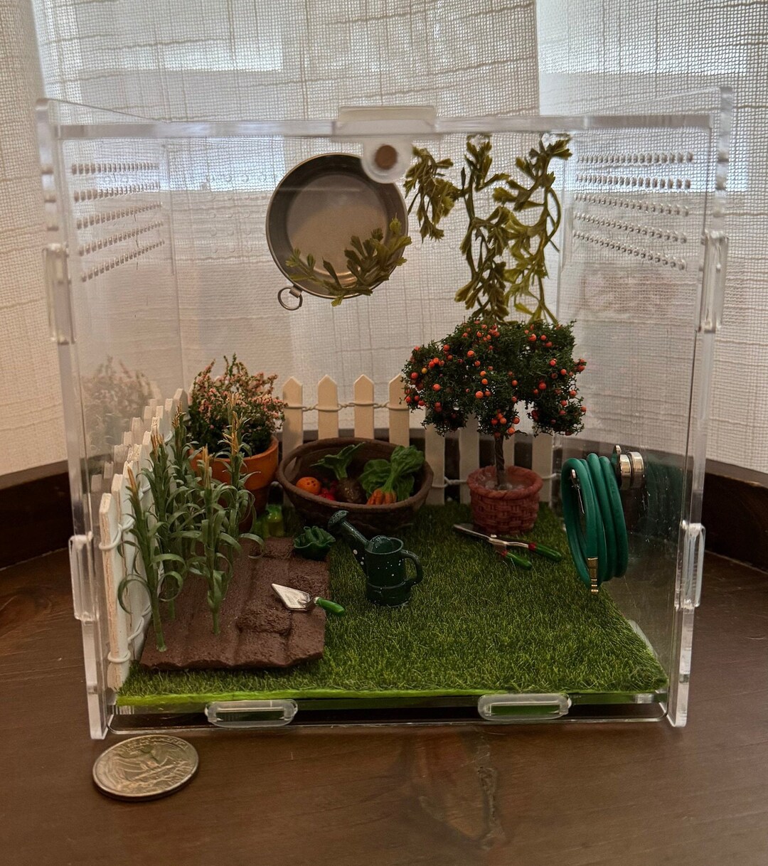 Farmland Spider Enclosure - Etsy