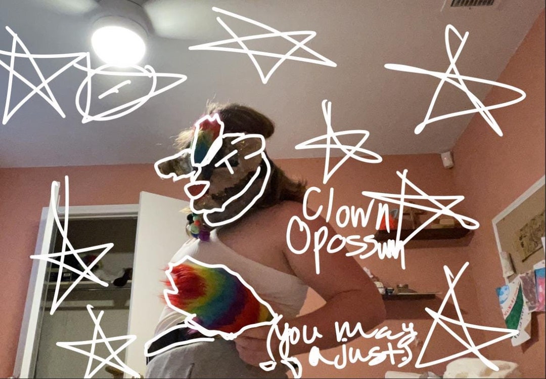 Possum Fursuit Mask - Etsy