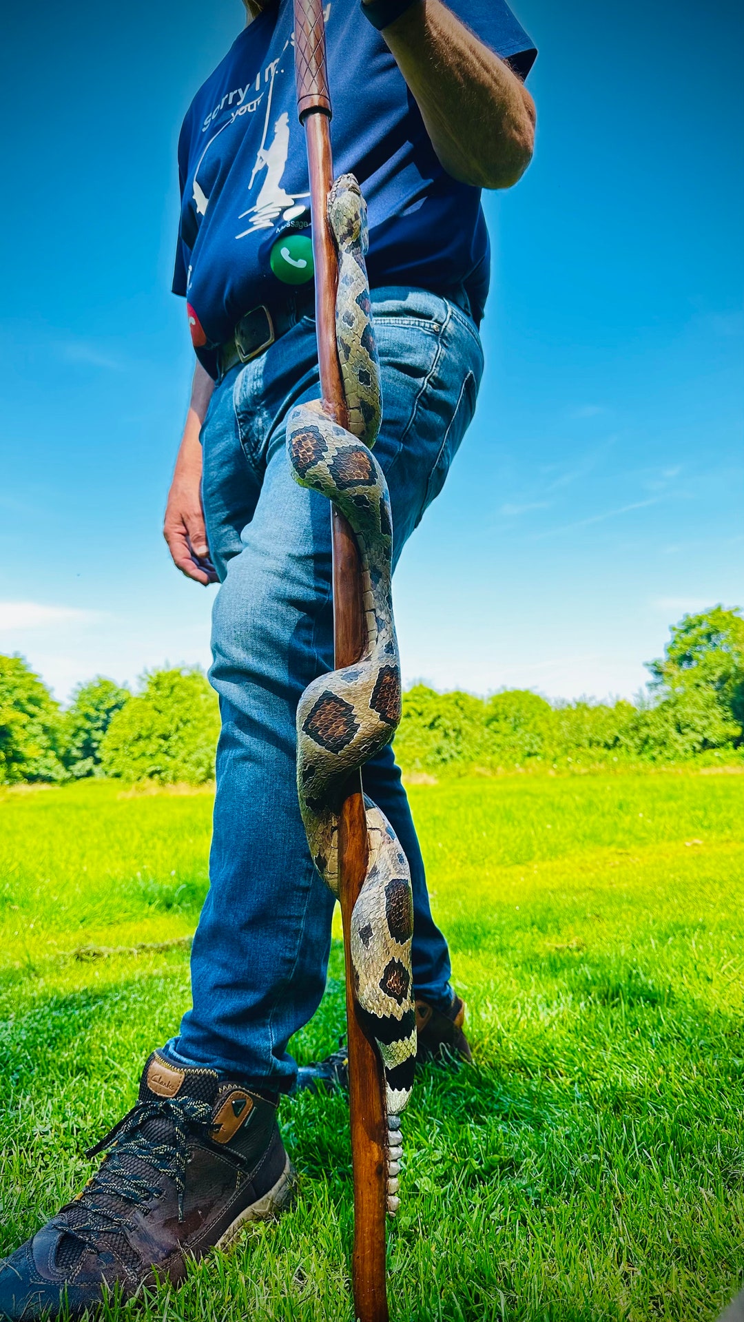 Snake Walking Stick Handcarved - Etsy Canada