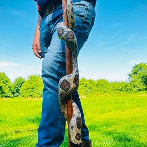 Snake Walking Stick Handcarved - Etsy Canada