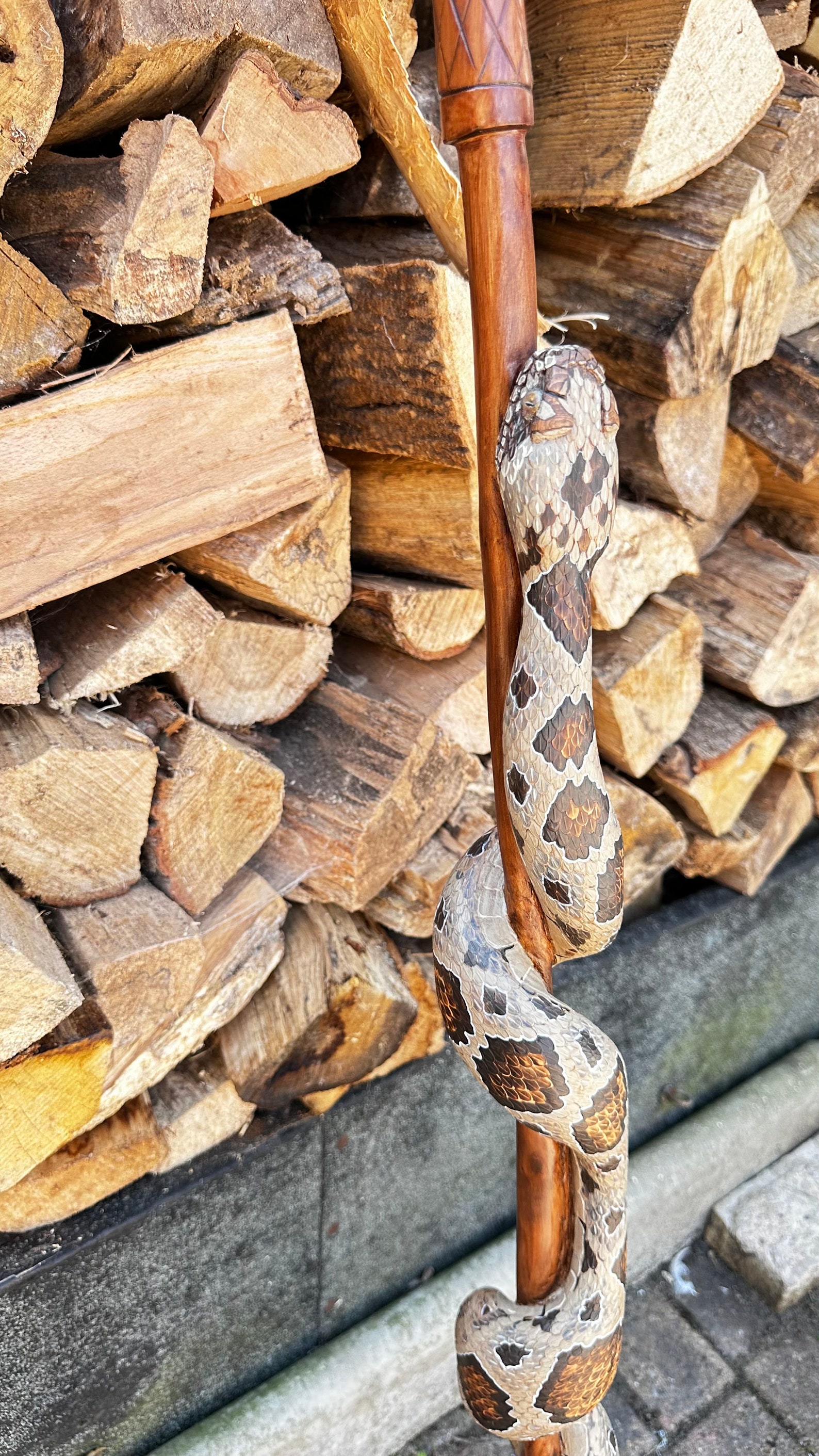 Snake Walking Stick Handcarved - Etsy Canada