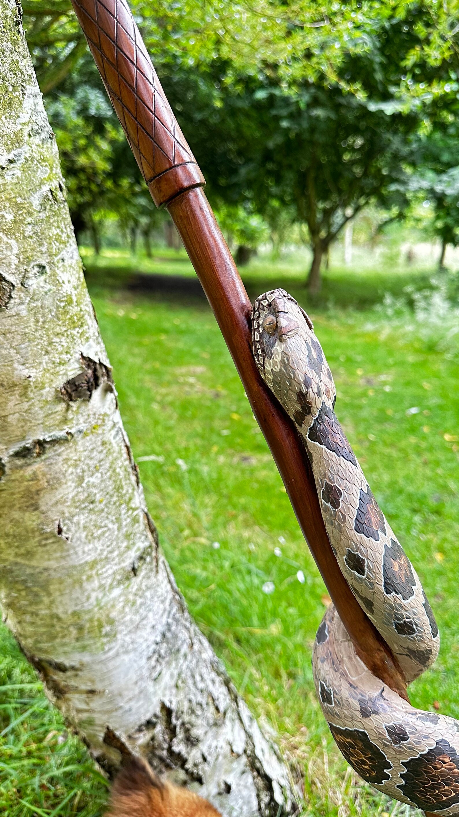 Snake Walking Stick Handcarved - Etsy Canada