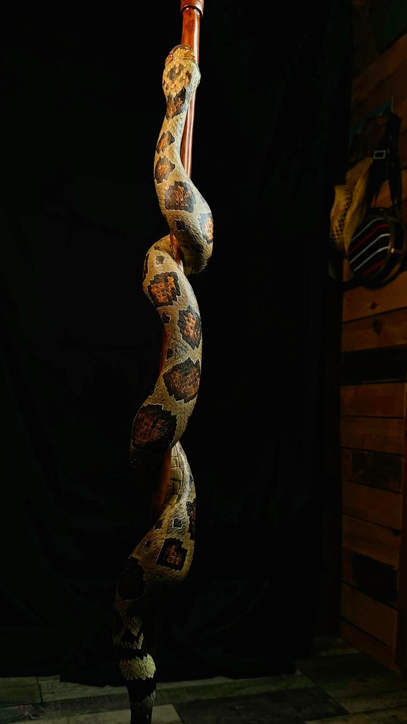 Snake Walking Stick Handcarved - Etsy Canada