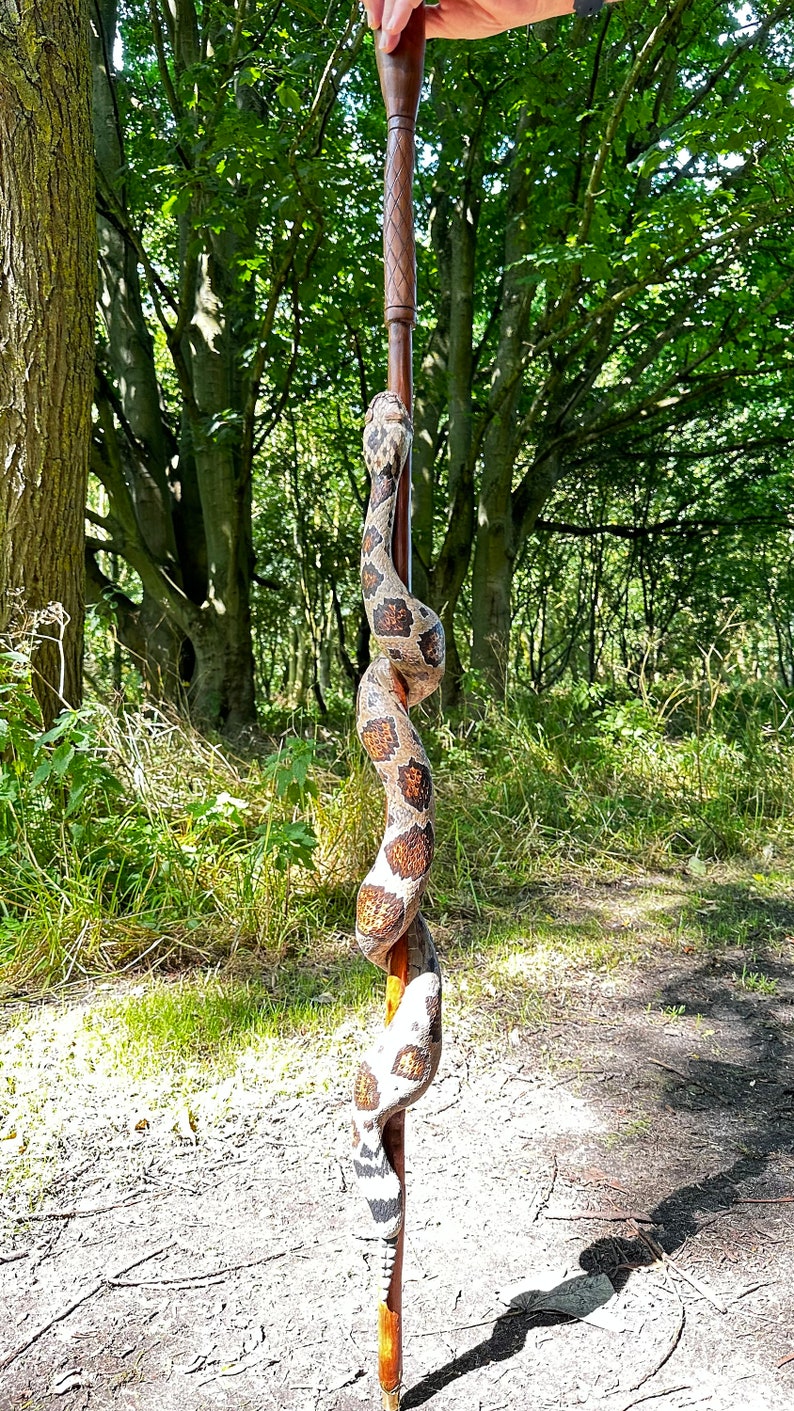 Snake Walking Stick Handcarved - Etsy Canada