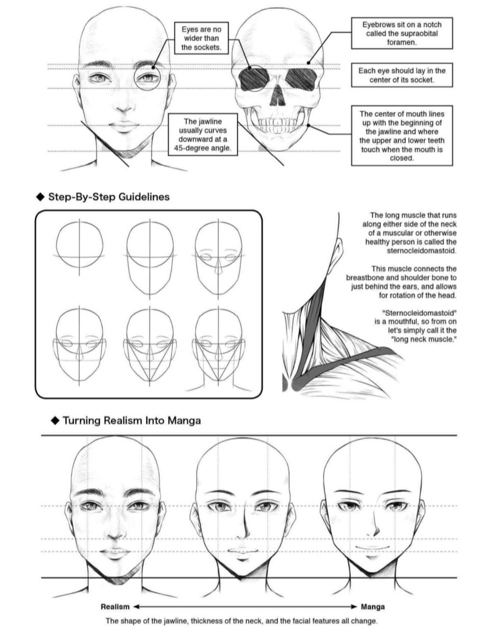 How to Draw Manga | 200+ Illustrations - Etsy