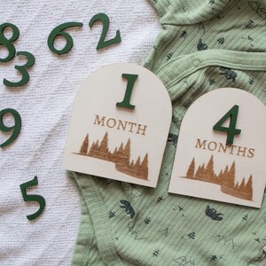 Forest Tree Themed Arched Wooden Engraved Monthly Milestone Marker ...