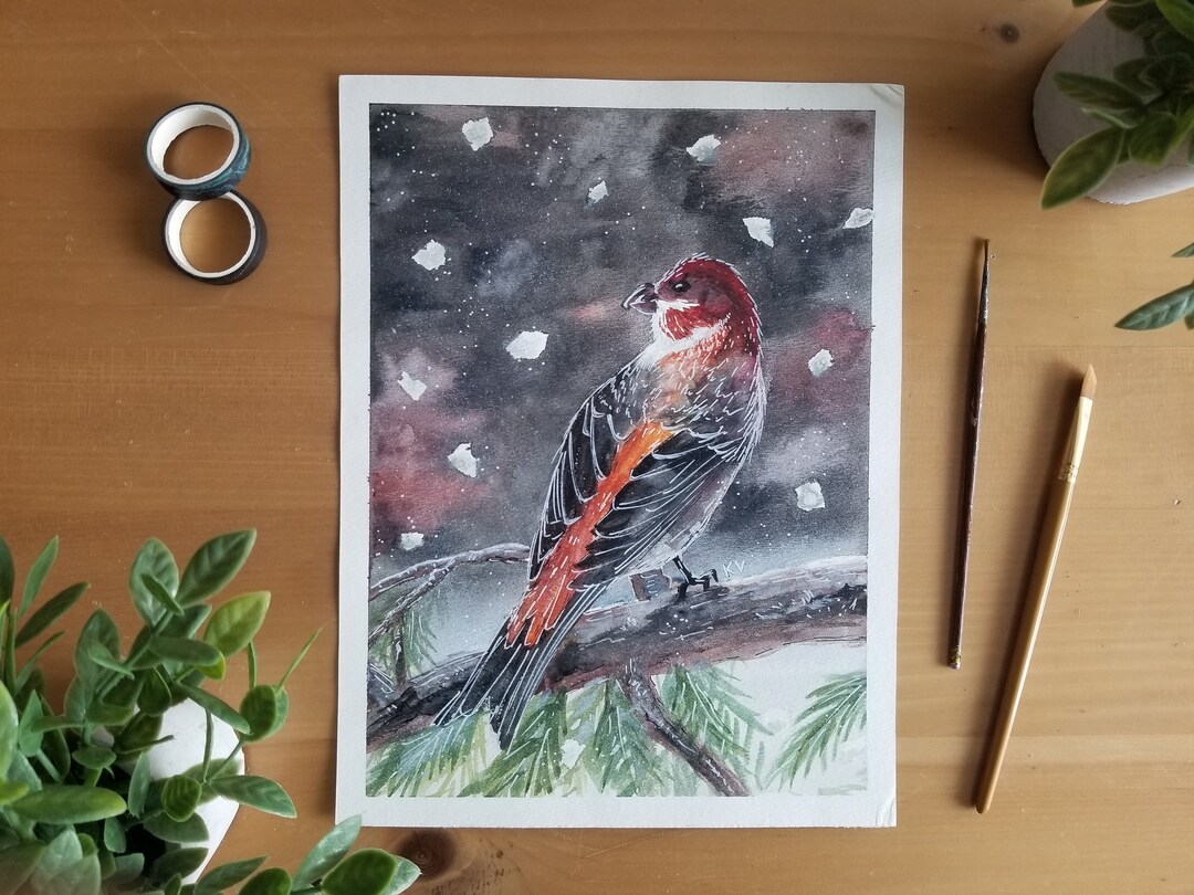Snowy Red Winter Bird on Pine Branch - Original 9x12 Watercolor & Mixed ...