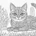 49 Detailed Cats Coloring Pages, Mindfulness and Relaxation, PDF ...