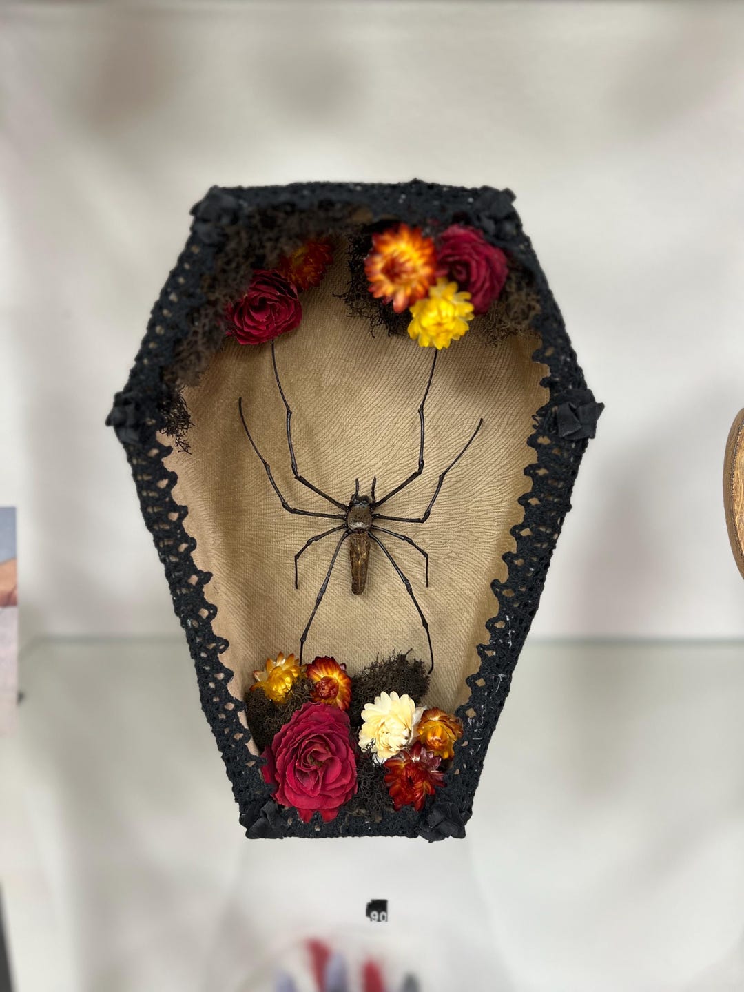 Spider in Coffin - Etsy