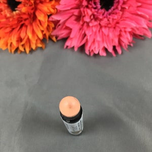 Organic Corrector Stick in Salmon| Natural Makeup| Gluten Free| Acne ...