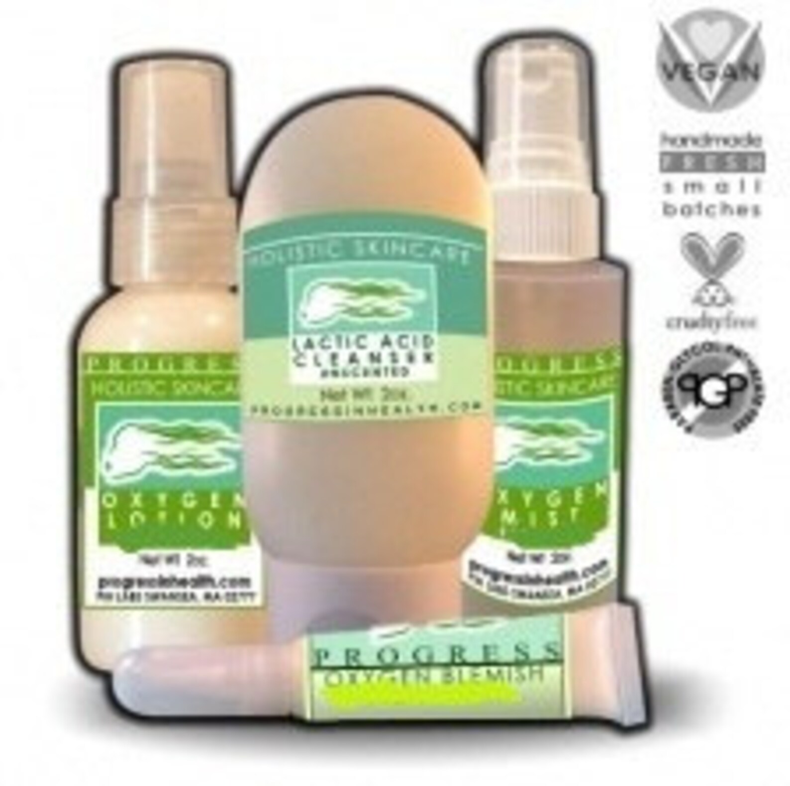 Natural Clarifying Oxygen Facial Mist With Tea Tree and Neem | Etsy