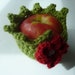 Crochet Pattern Set for Cute Apple Jacket Cozies - Perfect Teacher Gift ...