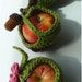 Crochet Pattern Set for Cute Apple Jacket Cozies - Perfect Teacher Gift ...