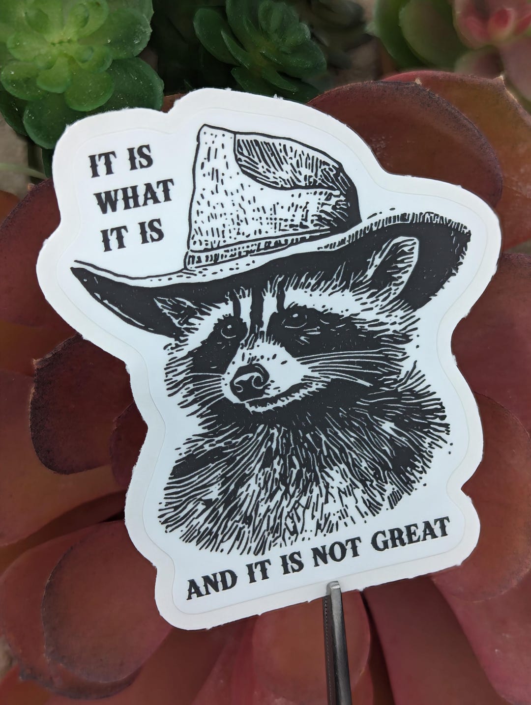Raccoon Meme Sticker, Funny Sticker, Funny Meme Decal for Water Bottles ...