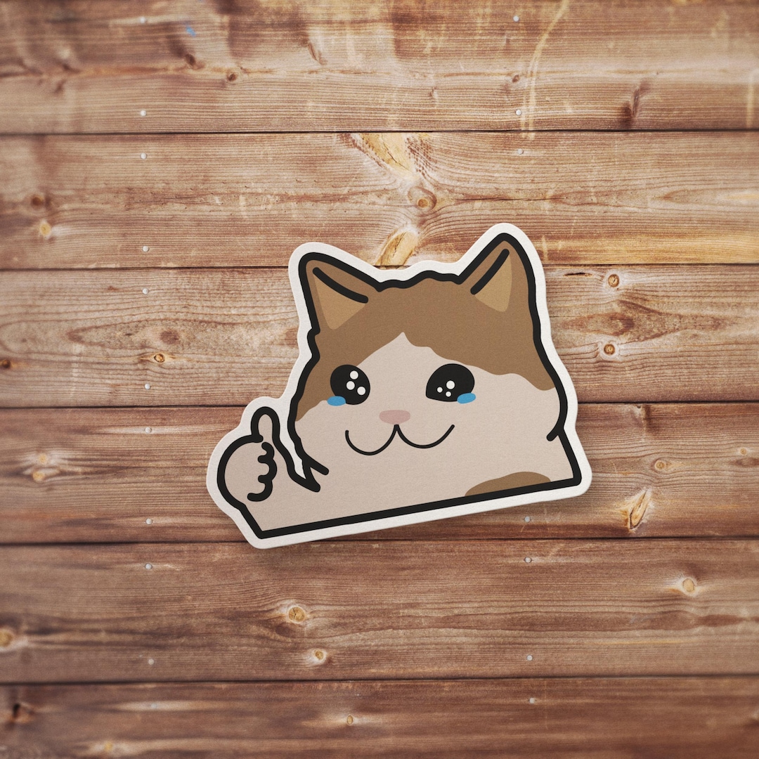 Thumbs up Cat Meme Sticker, Funny Sticker, Funny Meme Decal for Water ...