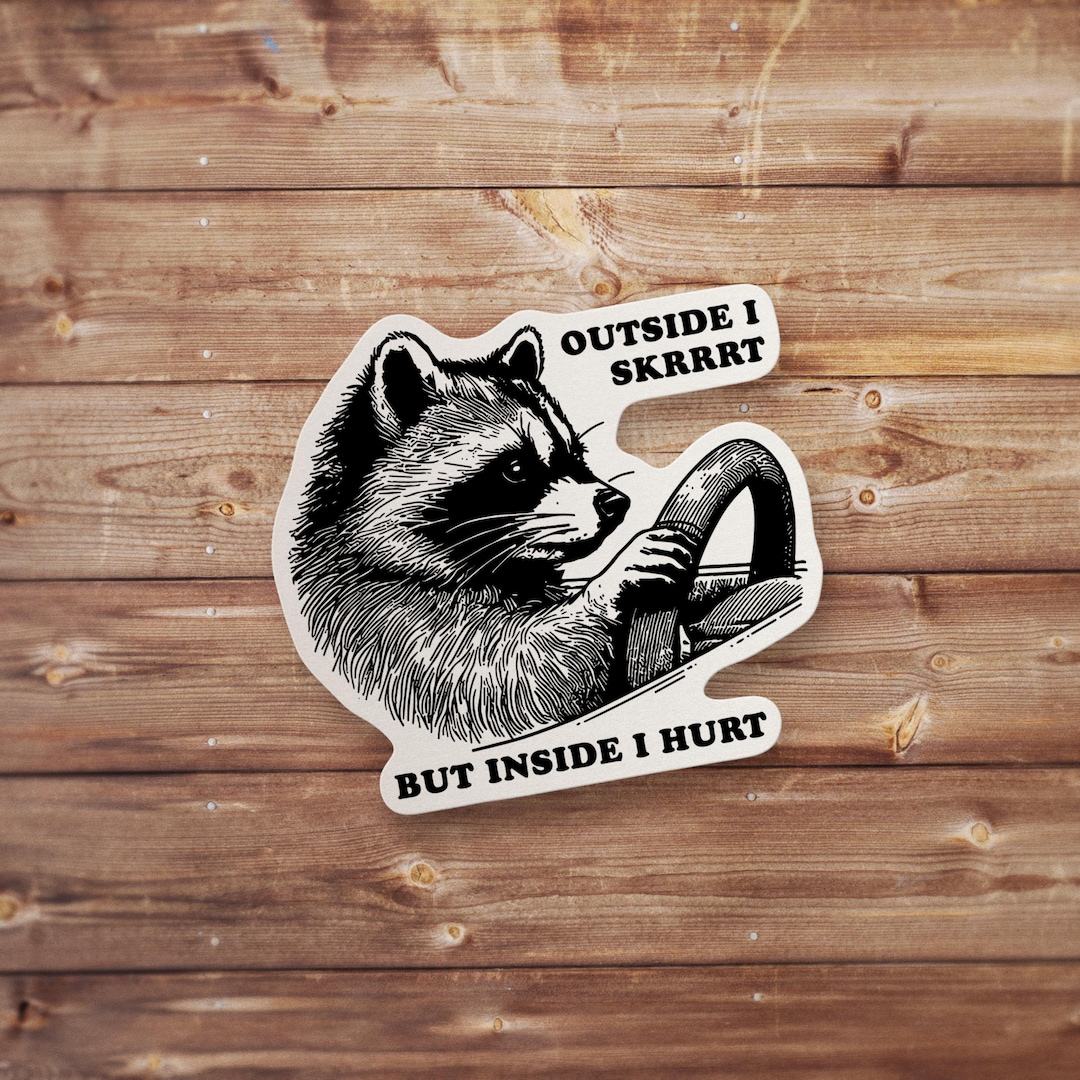 Raccoon Meme Sticker, Funny Sticker, Funny Meme Decal for Water Bottles ...