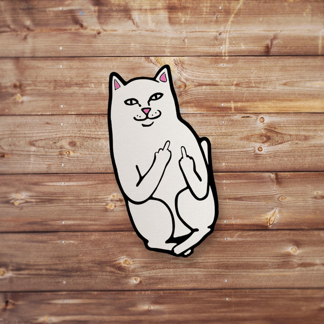 Middle Finger Cat Meme Sticker, Funny Sticker, Funny Meme Decal for ...