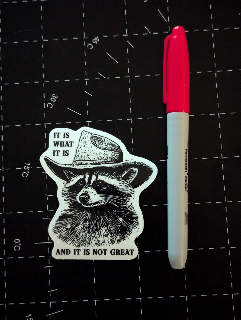 Middle Finger Cat Meme Sticker, Funny Sticker, Funny Meme Decal for ...