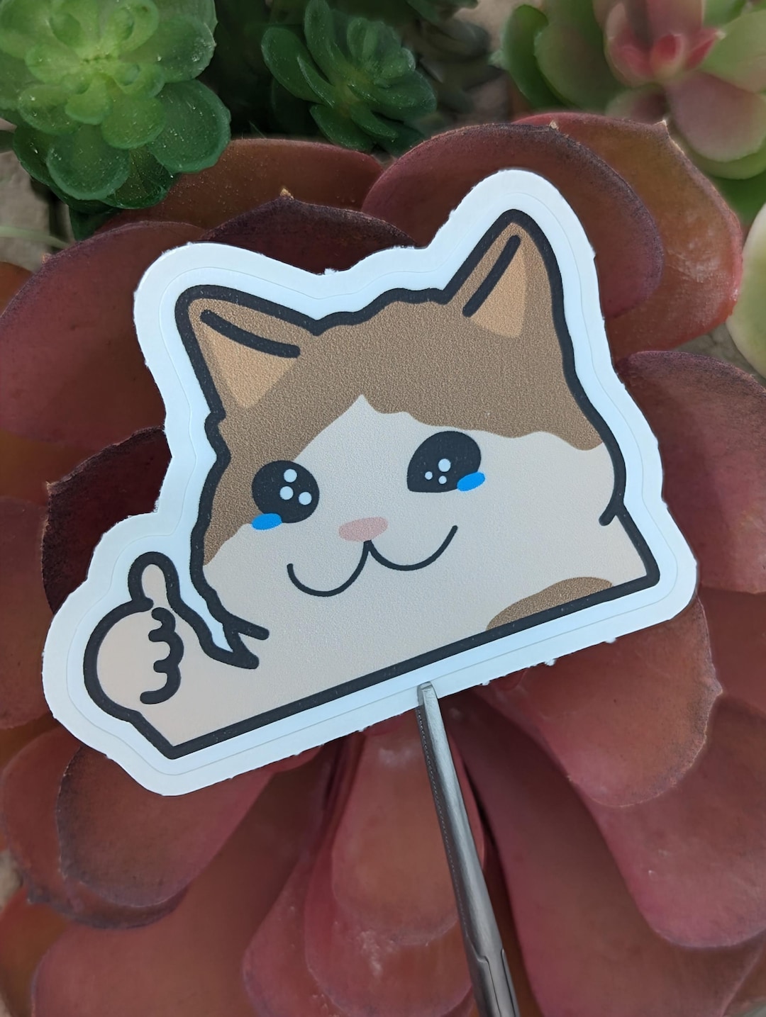 Thumbs up Cat Meme Sticker, Funny Sticker, Funny Meme Decal for Water ...
