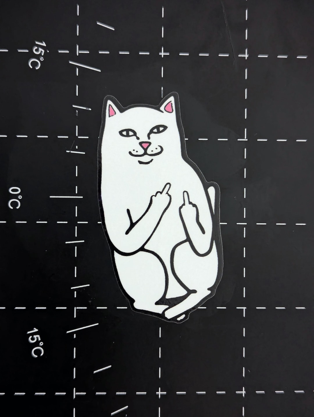 Middle Finger Cat Meme Sticker, Funny Sticker, Funny Meme Decal for ...