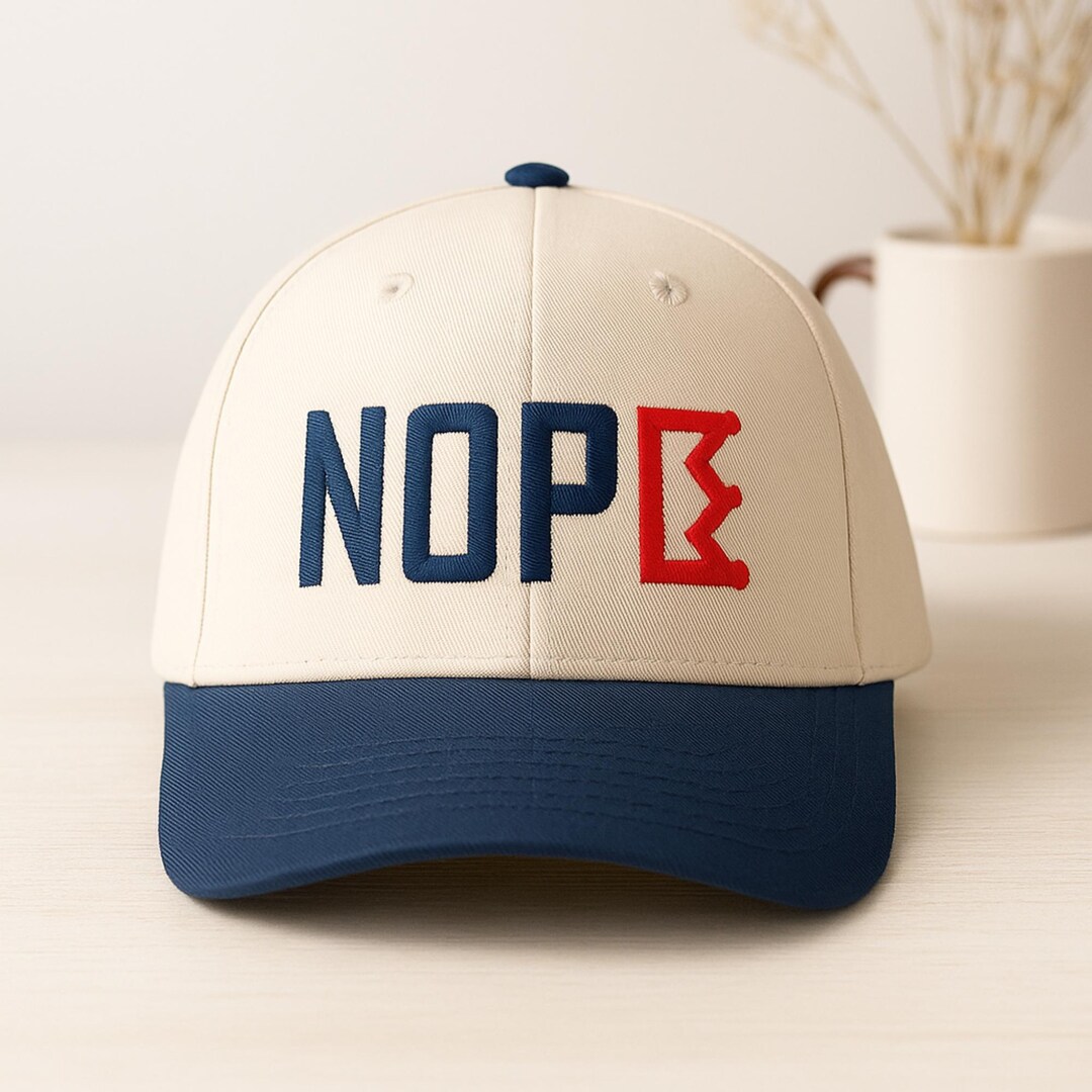 Embroidered No Kings in America Hat, Social Justice Hat, Anti ...