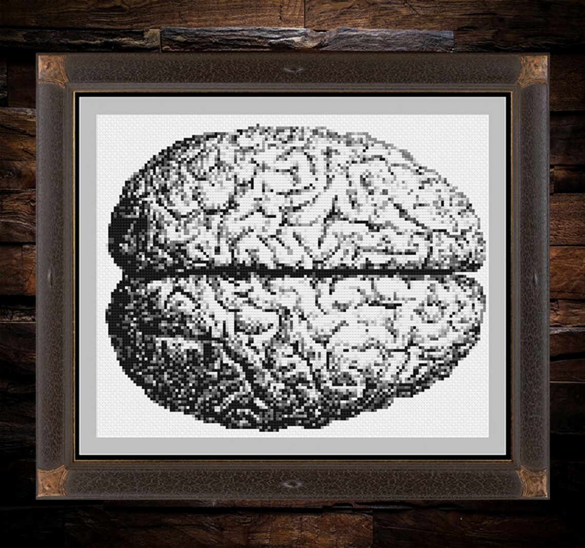 Anatomical Brain Top View PDF Cross Stich Pattern INSTANT - Etsy