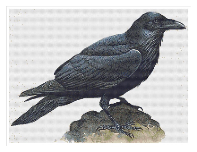 Cross Stitch Pattern Raven Pdf Counted Crossstitch Tutorial Needlework ...