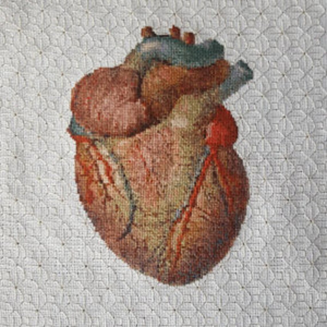 Anatomical Heart PDF Cross Stich Pattern INSTANT DOWNLOAD - Etsy