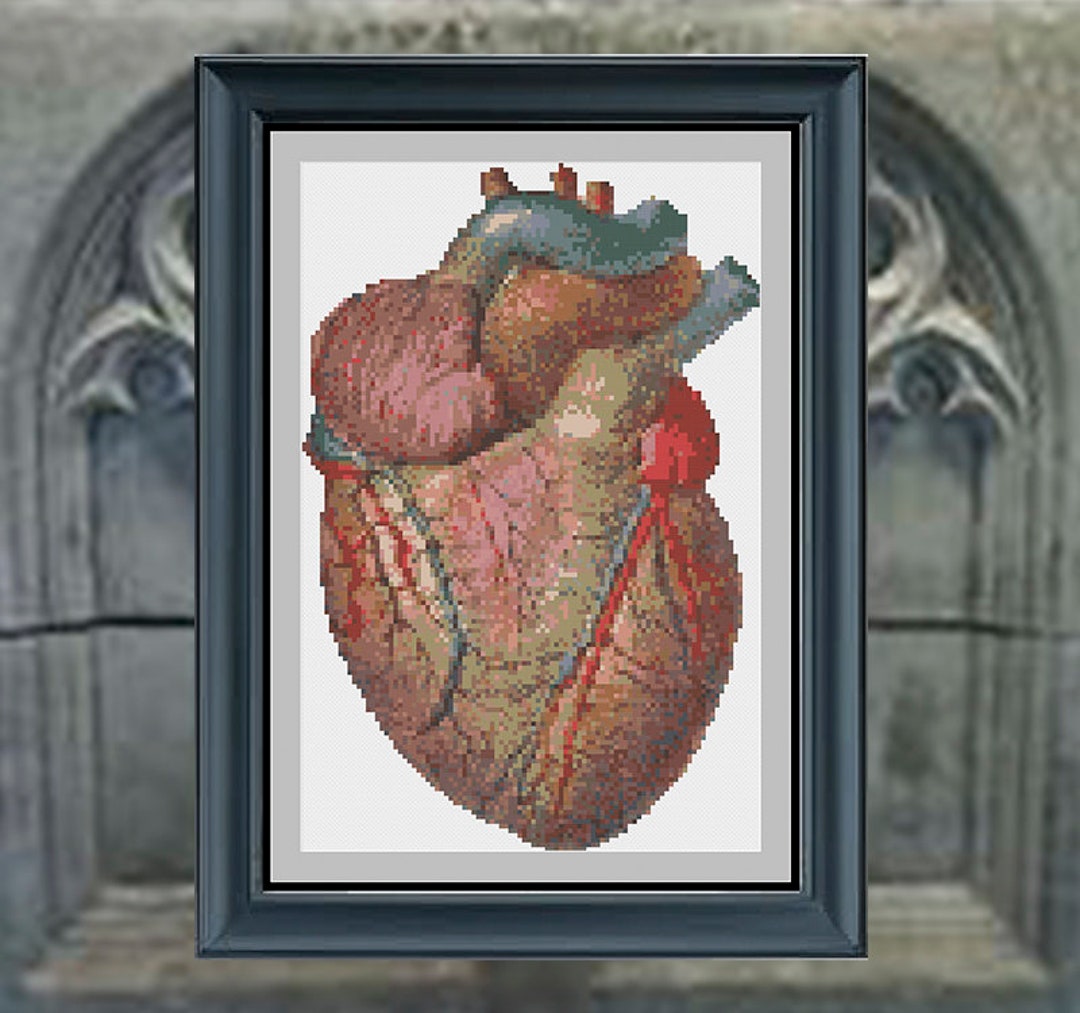 Anatomical Heart - PDF Cross Stich Pattern - INSTANT DOWNLOAD - Etsy