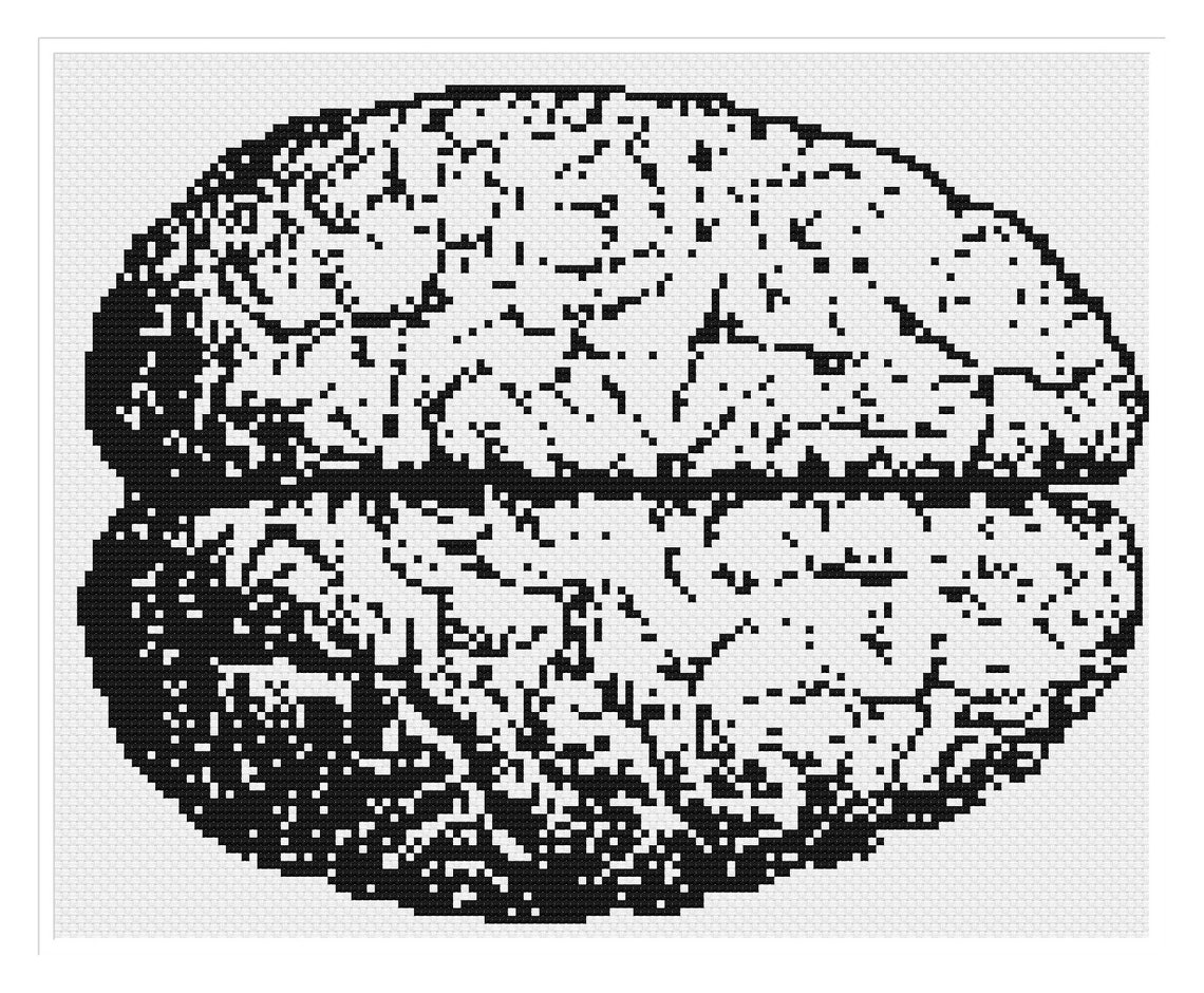 Anatomical Brain Top View PDF Cross Stich Pattern INSTANT - Etsy