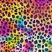 Rainbow Cheetah Leopard Print Set of 38 |seamless Patterns |instant ...
