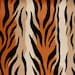 Tiger Skin Set of 10+ |seamless Patterns |instant Download | Printable ...